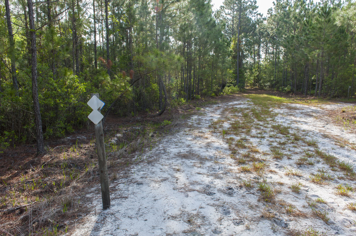 Trail - Twelve Mile Swamp Recreation Area – SJRWMD