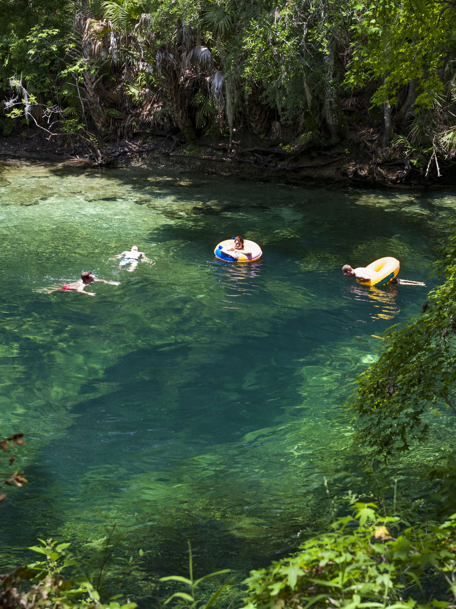Blue Spring at Blue Spring State Park – SJRWMD