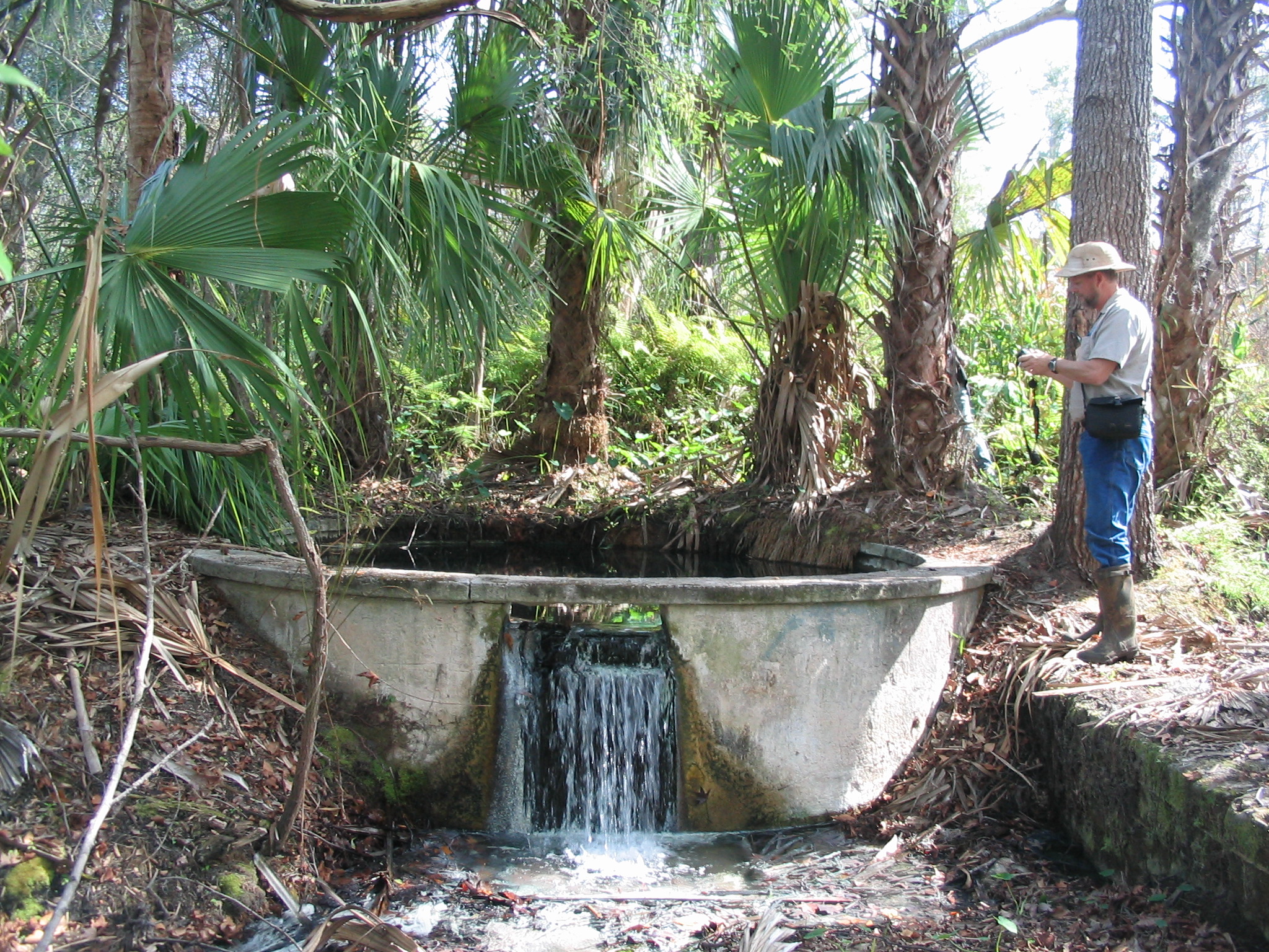 Ginger Ale Springs – SJRWMD