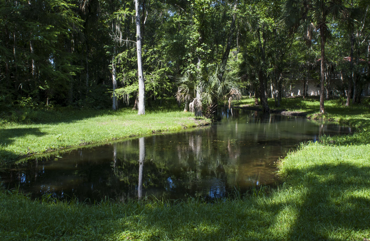 Nashua Spring – SJRWMD