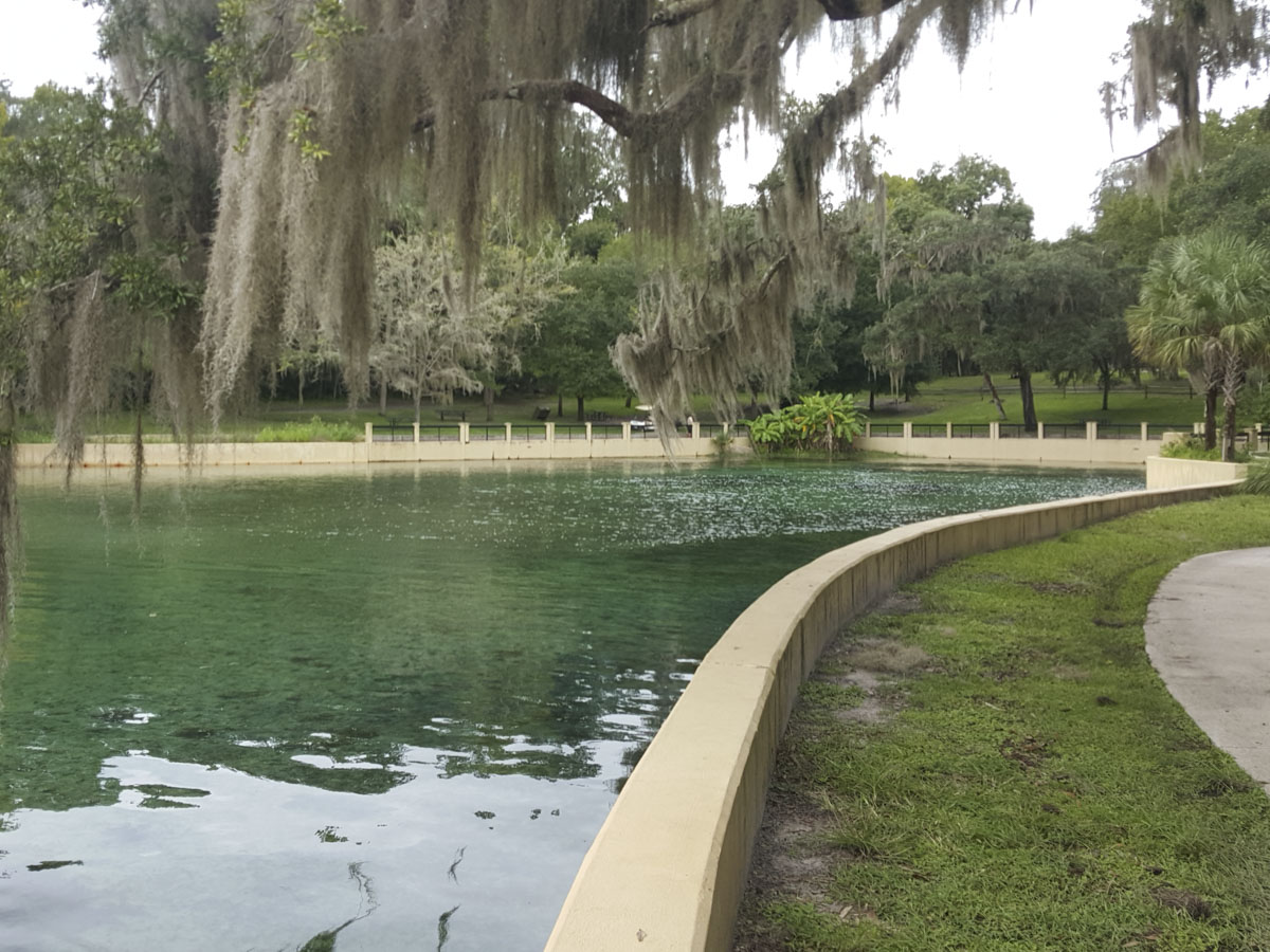 Salt Springs – SJRWMD