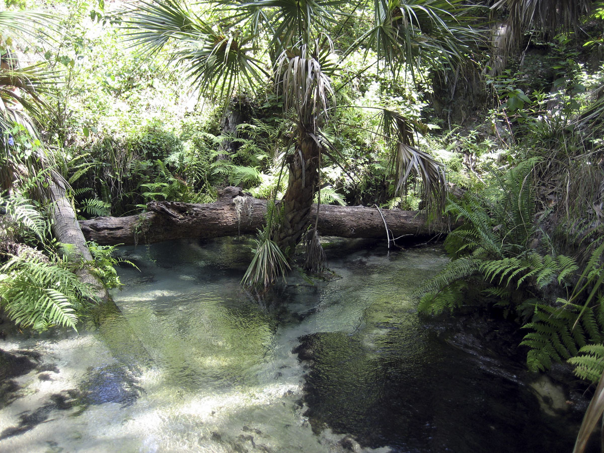 Seminole Springs (Lake County) – SJRWMD
