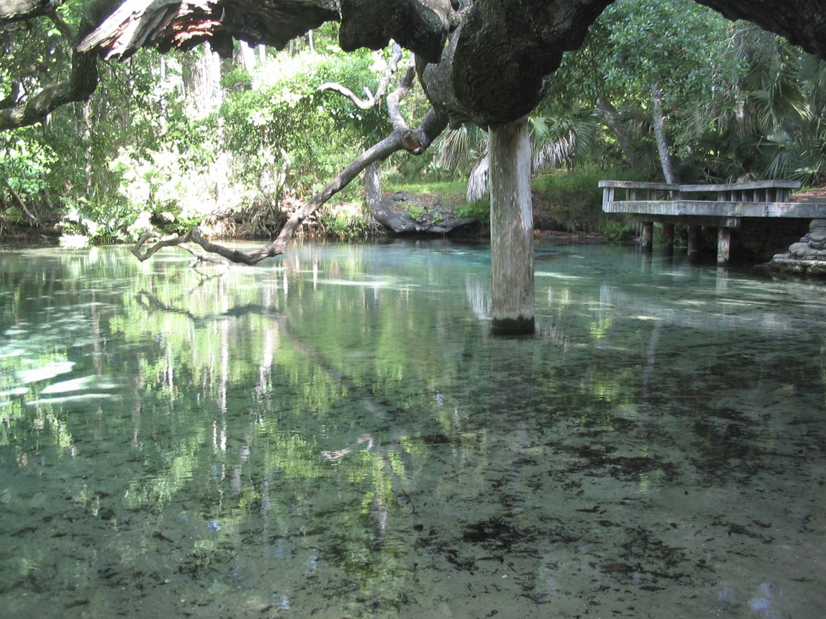 Sweetwater Springs (and Little Sweetwater Spring) – SJRWMD