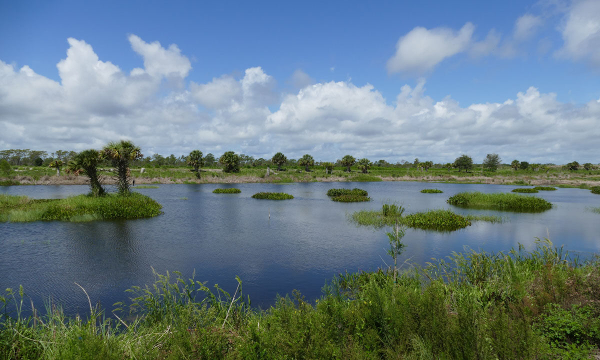 Micco Water Management Area – SJRWMD