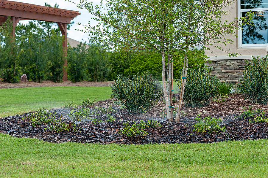 Garden irrigation – SJRWMD