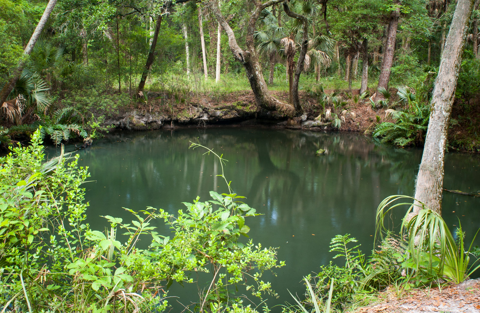 Green Springs – SJRWMD