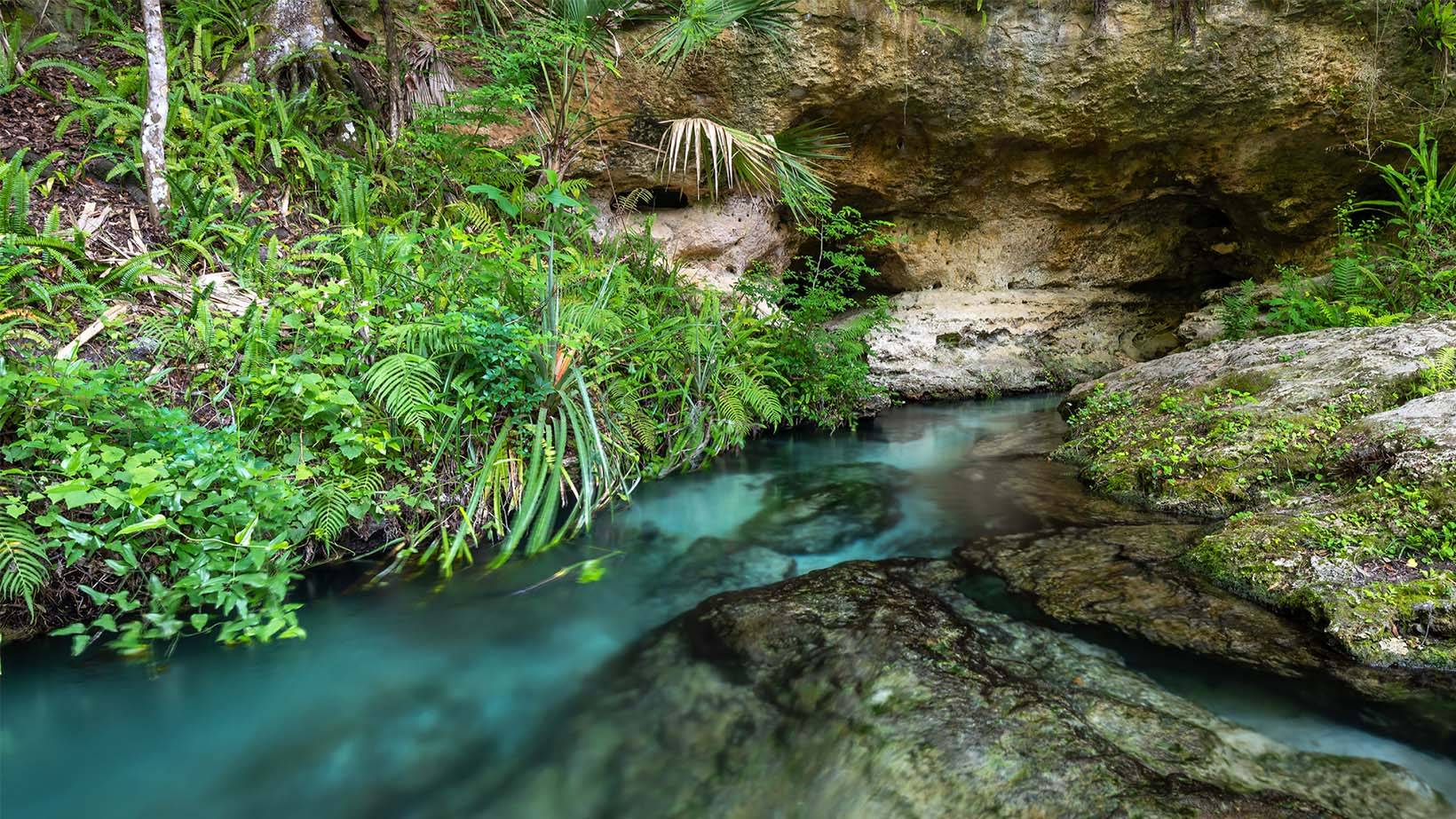 Springs of the District – north and east-central Florida – SJRWMD