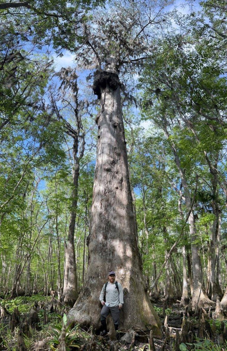 Caravelle Ranch Wildlife Management Area expands for conservation and ...