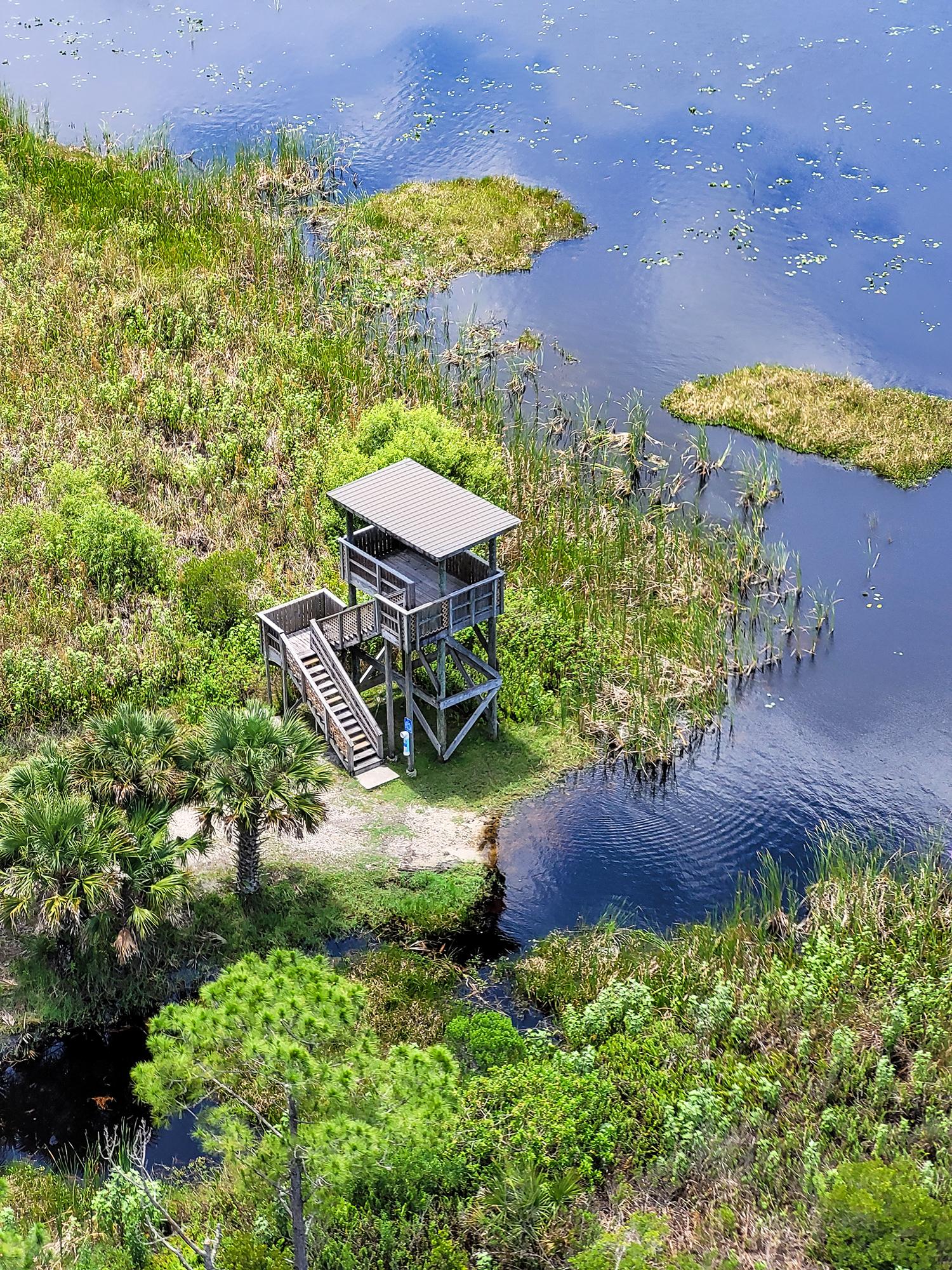 Adventure awaits at Buck Lake Conservation Area