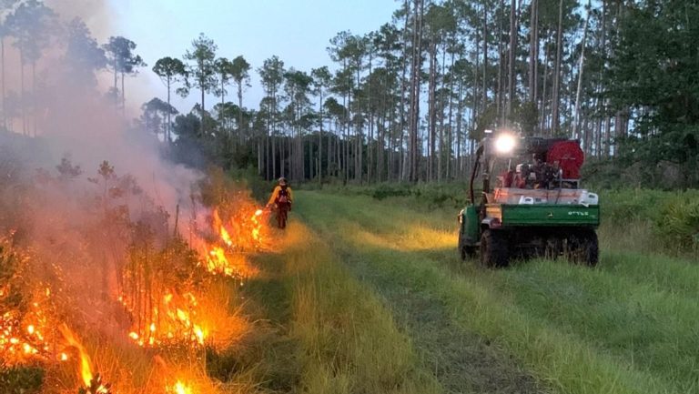 Prescribed fire today at Lake George Conservation Area in Putnam and ...