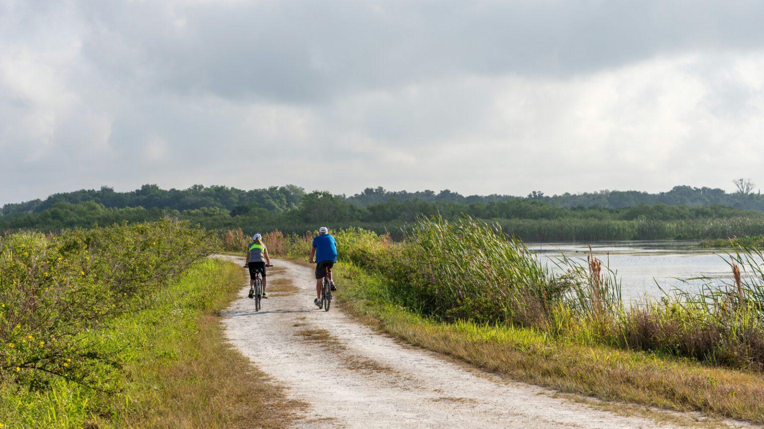 Take a drive on the wild side at Emeralda Marsh Conservation Area