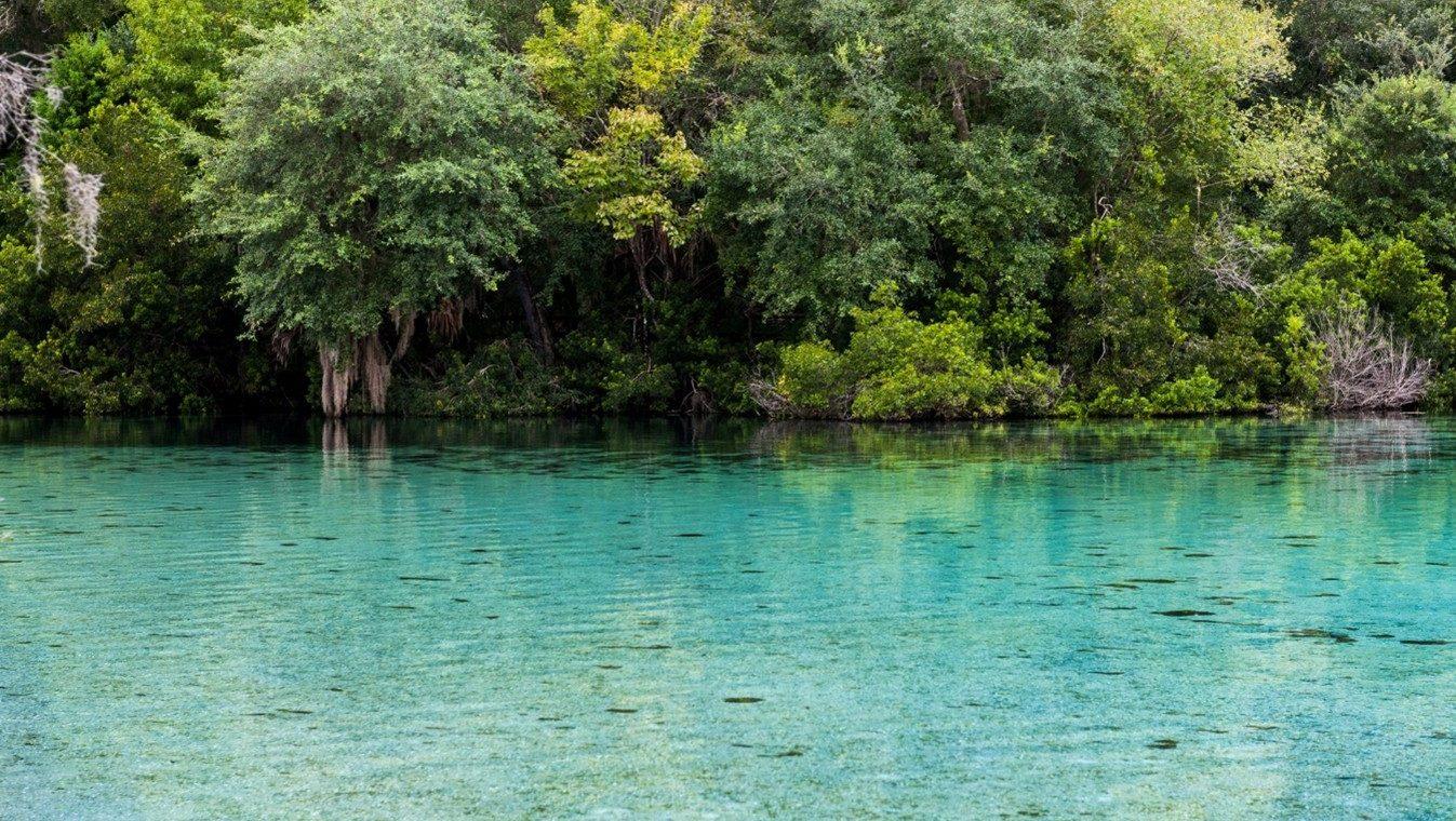 District recognizes April 2025 as Springs Protection Awareness Month ...