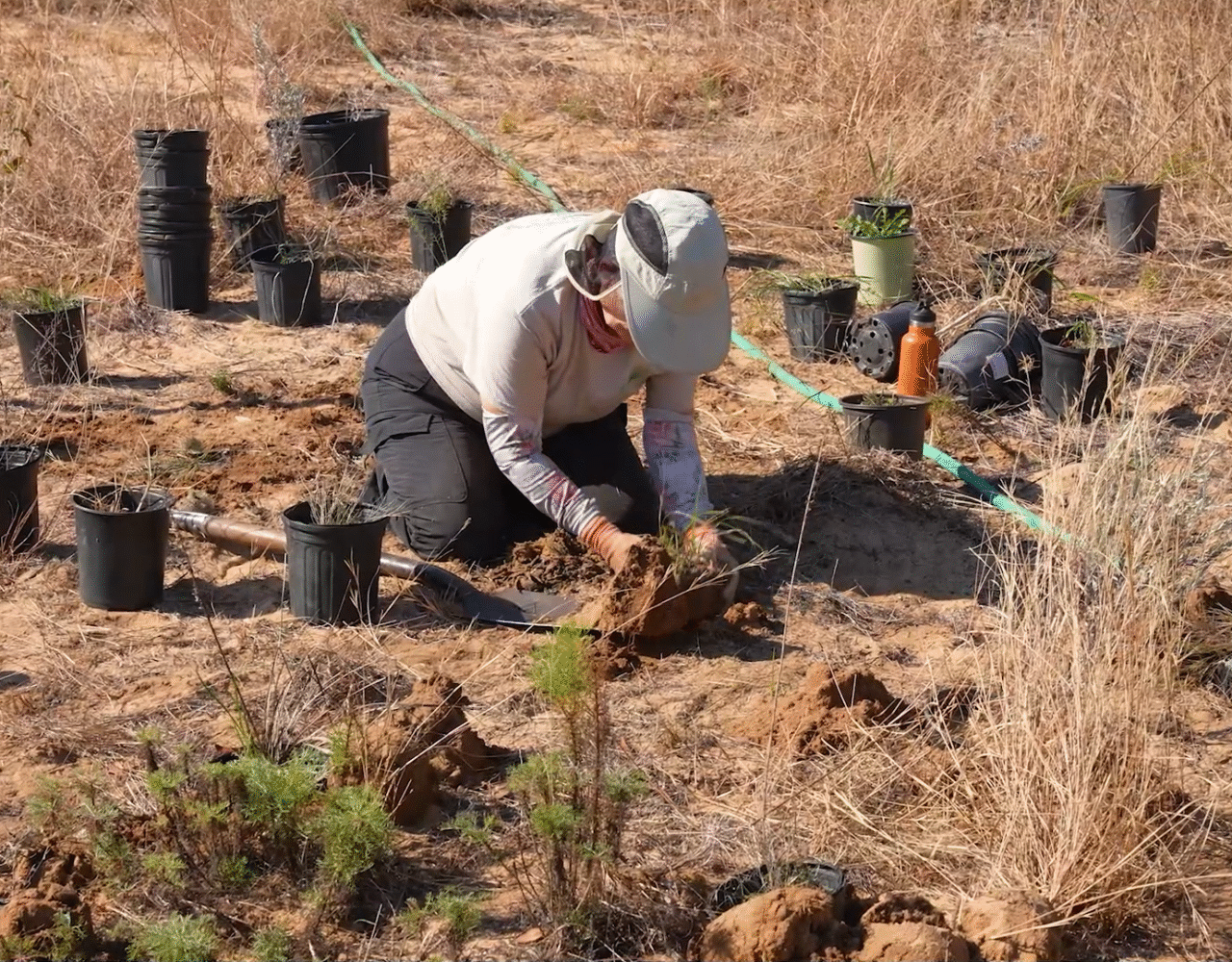 News media Archives – SJRWMD