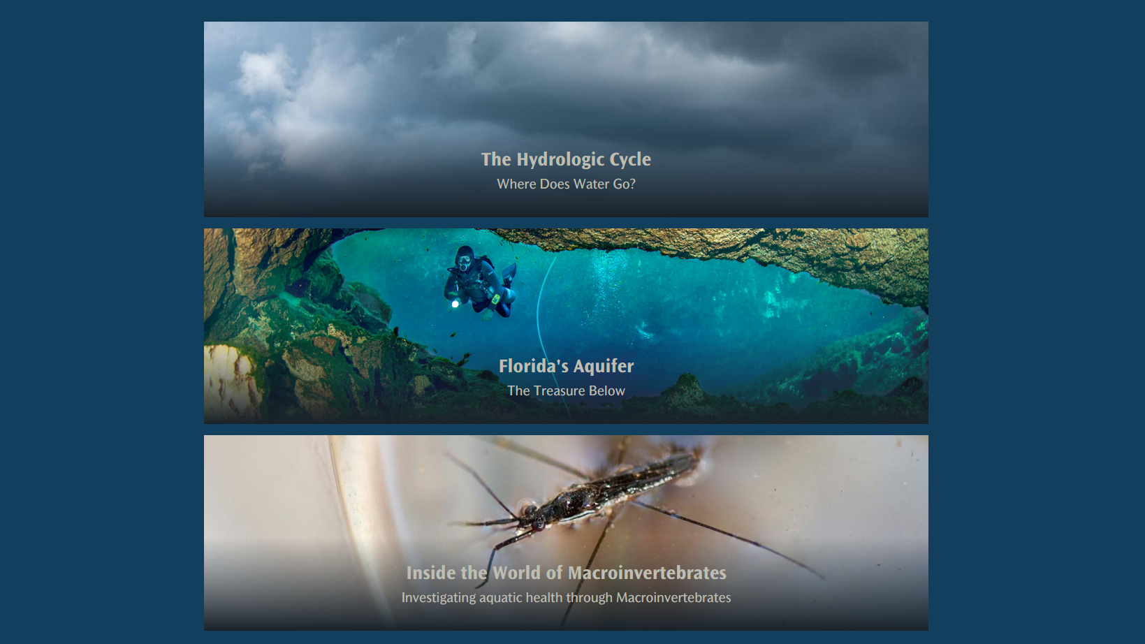 Lesson plans – SJRWMD