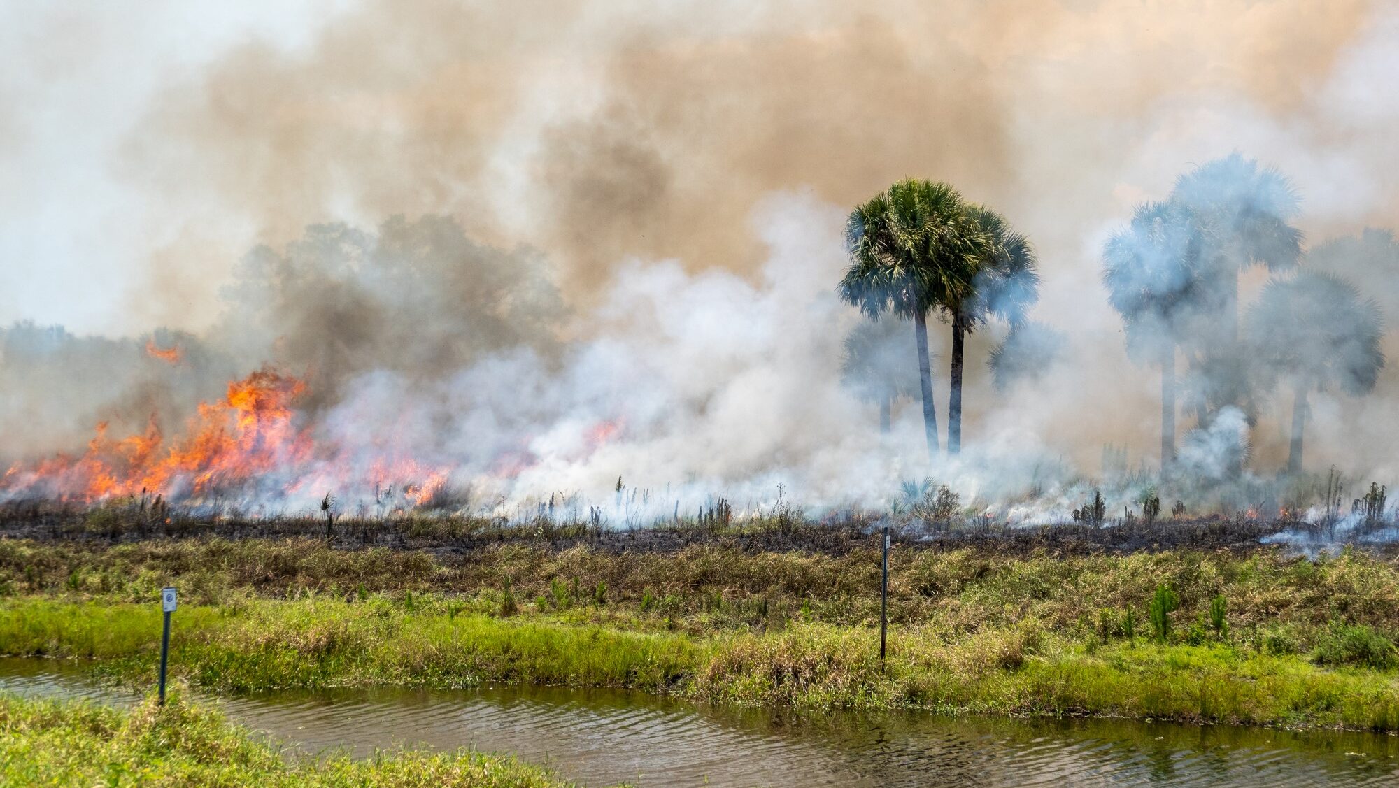 Prescribed fire at Buck Lake Conservation Area in Brevard County – SJRWMD